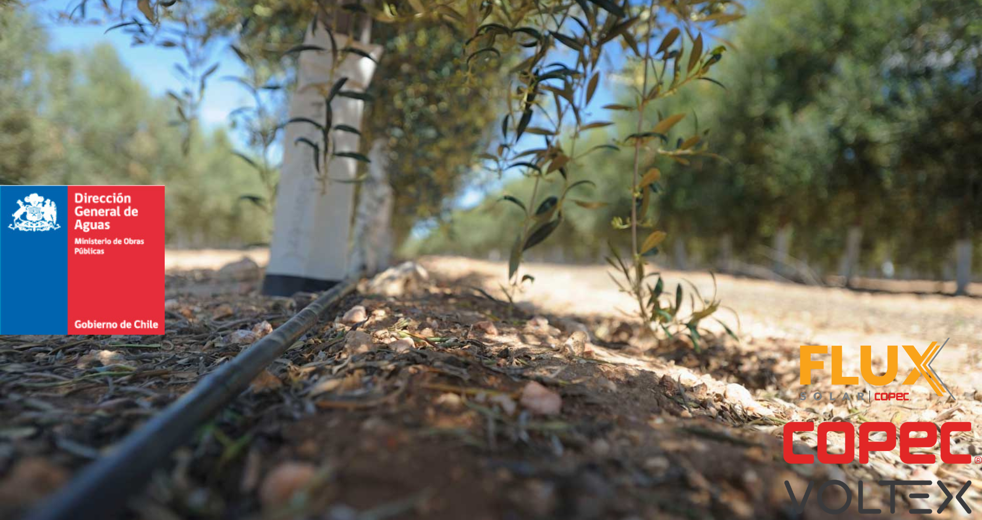 El día 16 de marzo se realizó el Taller Monitoreo de Extracción de ...