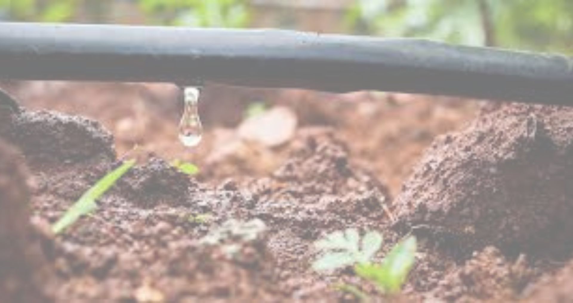 NITRACID®, Agente de limpieza y mantención de circuitos de riego ...